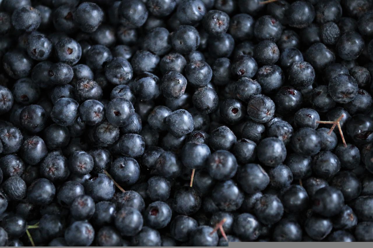 Aronija, čudežna zdravilna rastlina tudi za domačo pridelavo - NaDlani.si