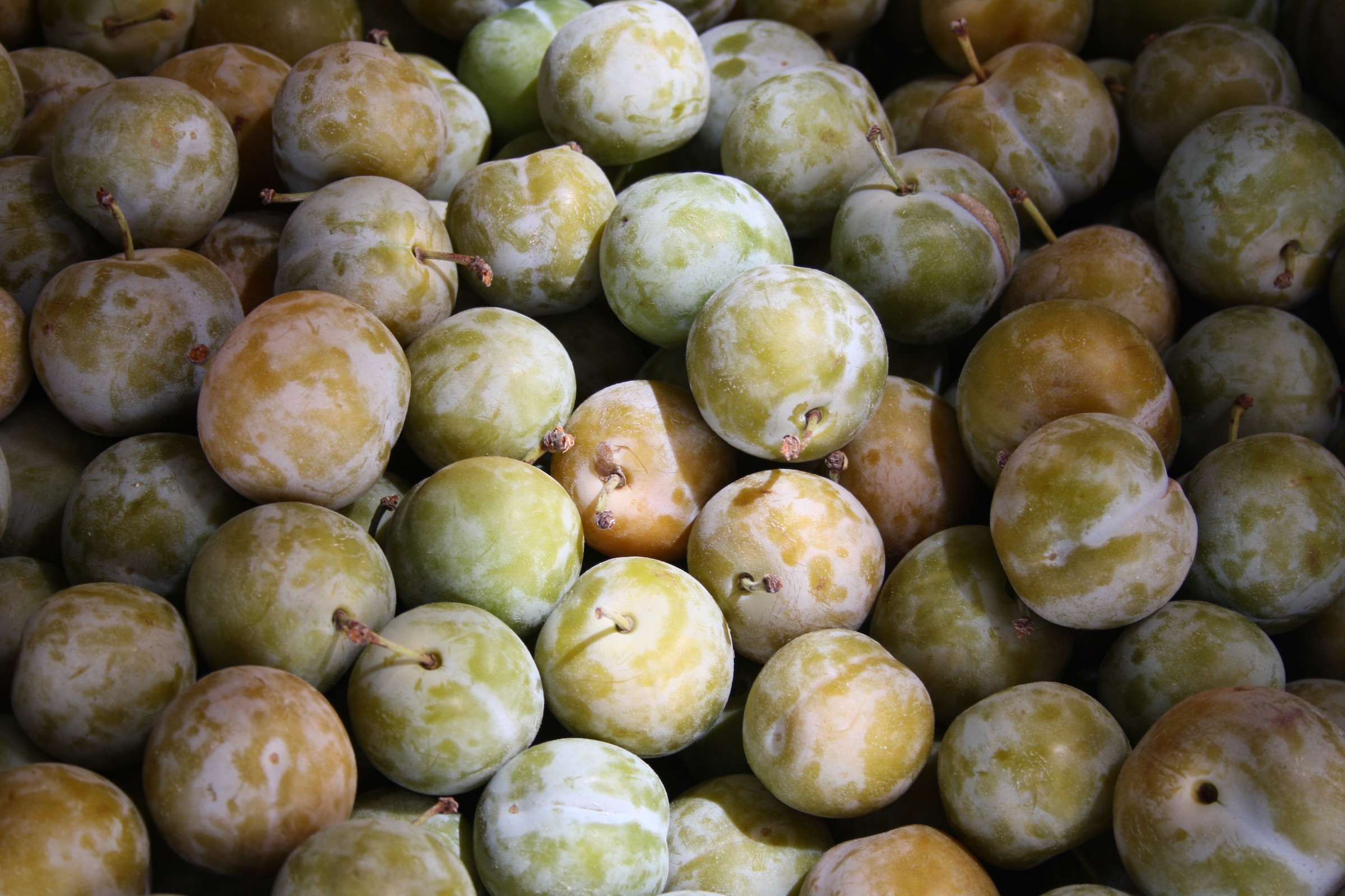 Ringlo: kaj se zgodi, če ga redno uživate? - NaDlani.si