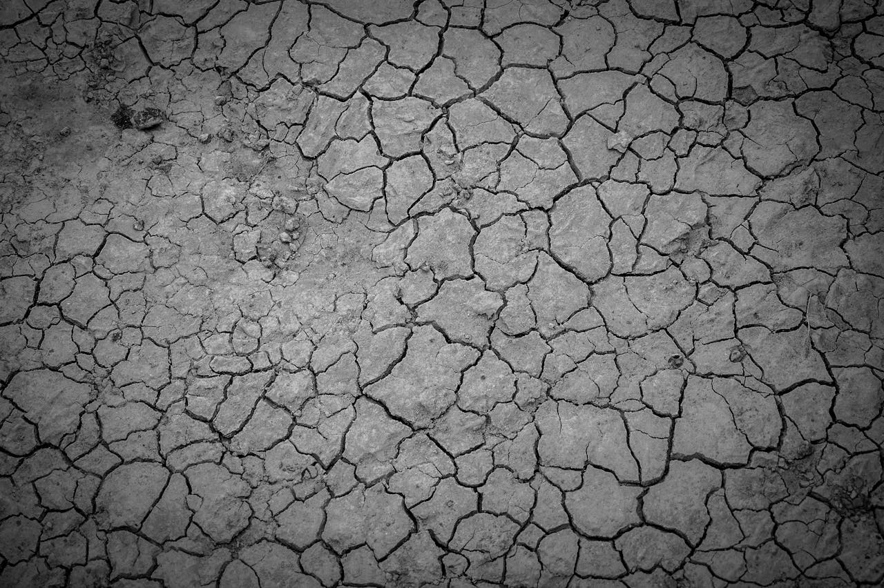 Ali bi danes preživeli potres, kot je bil tisti leta 1556? Resnica vas ...