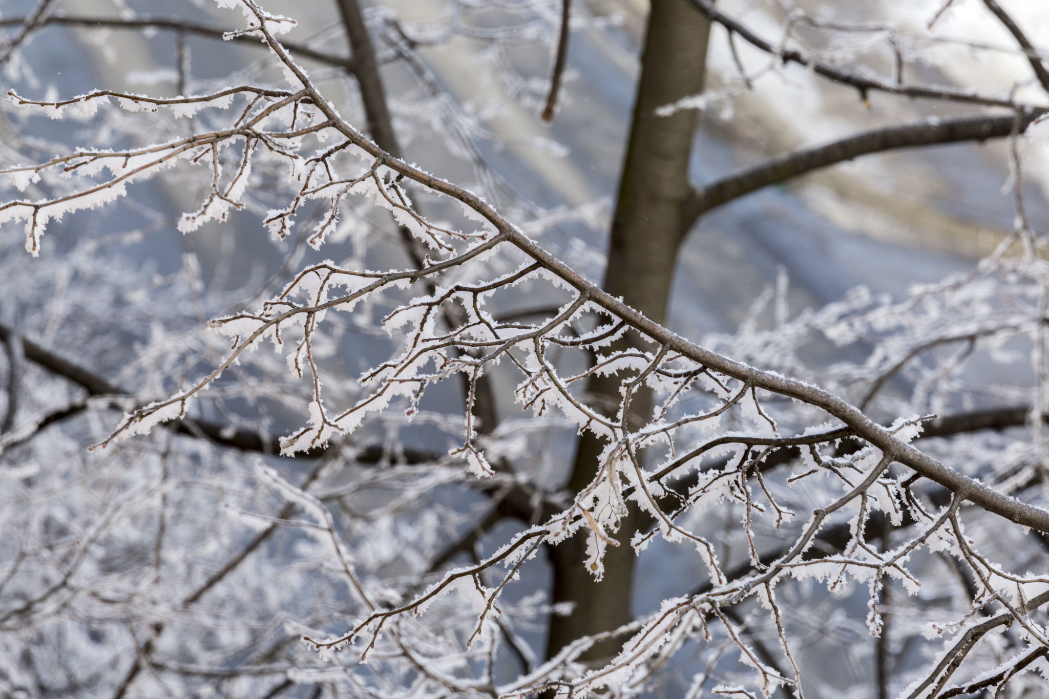 Danes rekordno toplo za december, poglejte, kakšne temperature nas ...