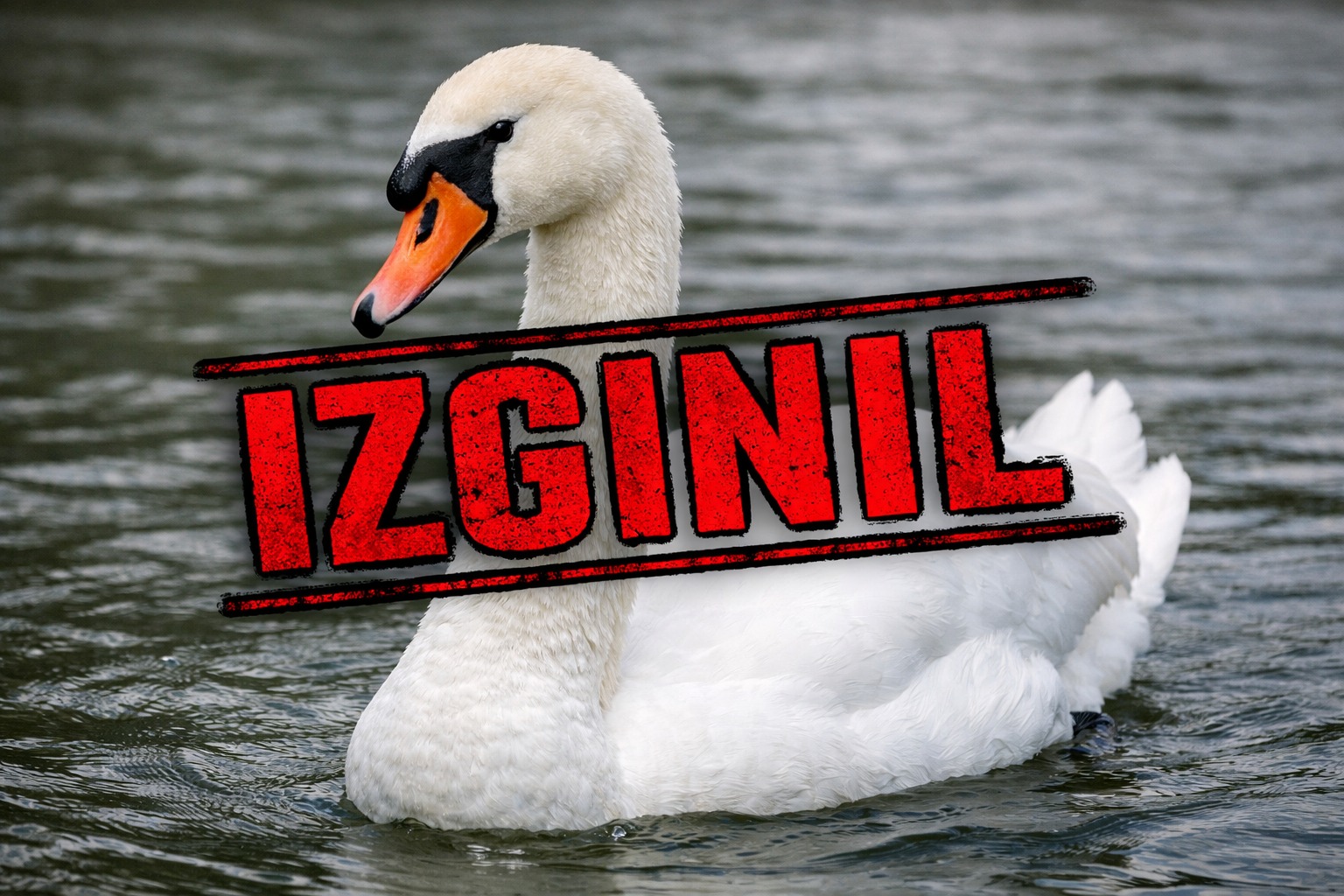 Pred začetkom šova Kmetija gledalci ogorčeni, poglejte, kaj so ...